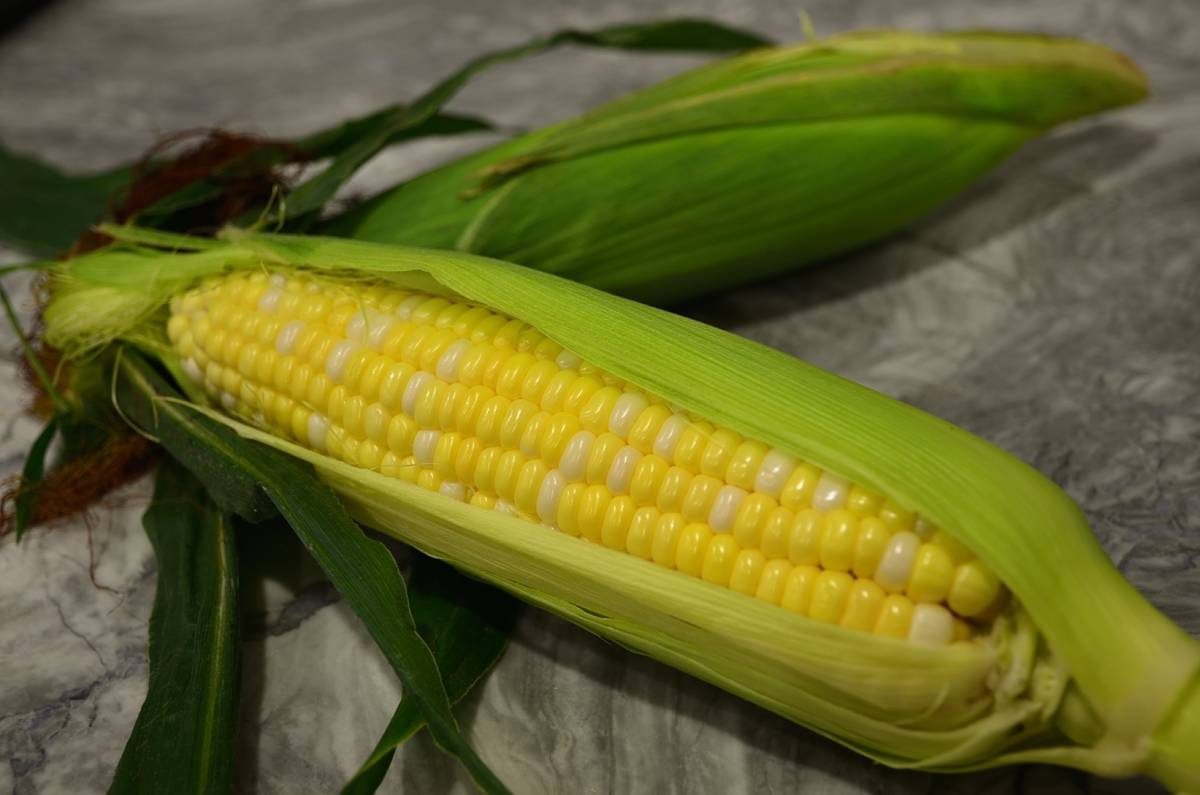 How to Cook Corn - dee Cuisine